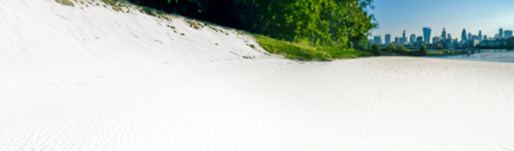 CGF Global Events - Networking and Knowledge-Sharing on a global scale