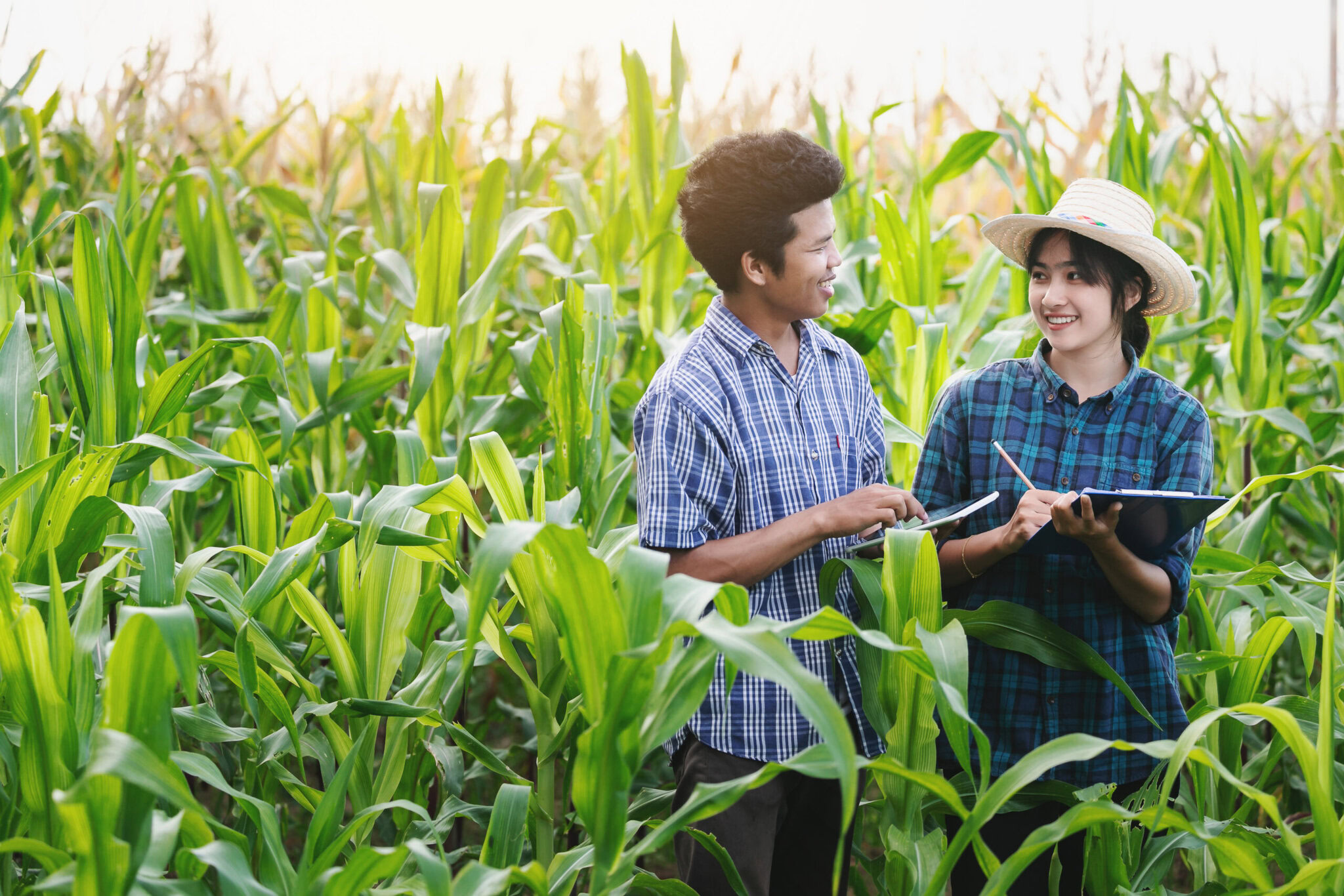 SSCI Invites Stakeholders to Review the Benchmarking Process - The ...