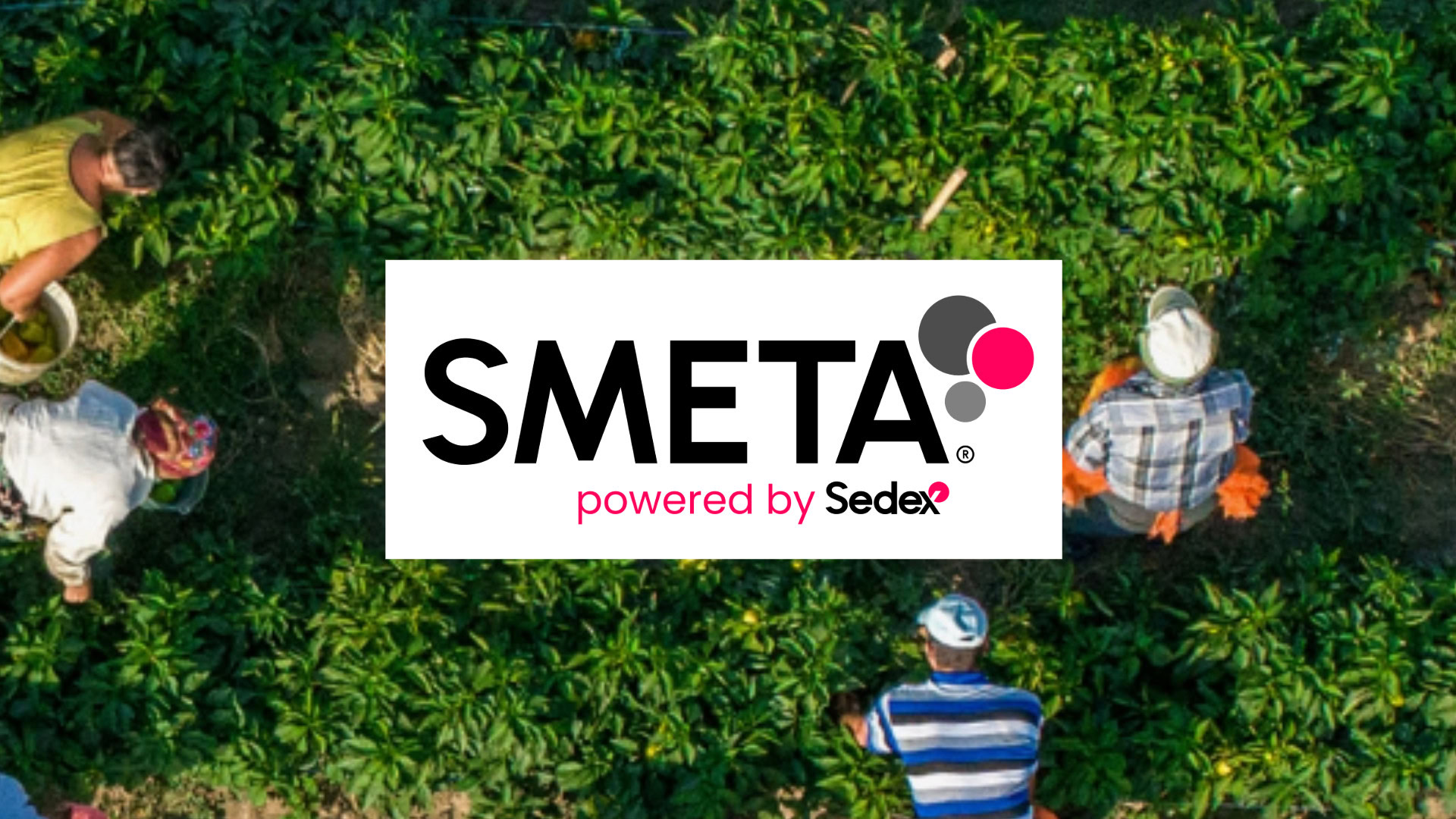 The Consumer Goods Forum’s SSCI Recognises Sedex’s SMETA 7.0, the World ...
